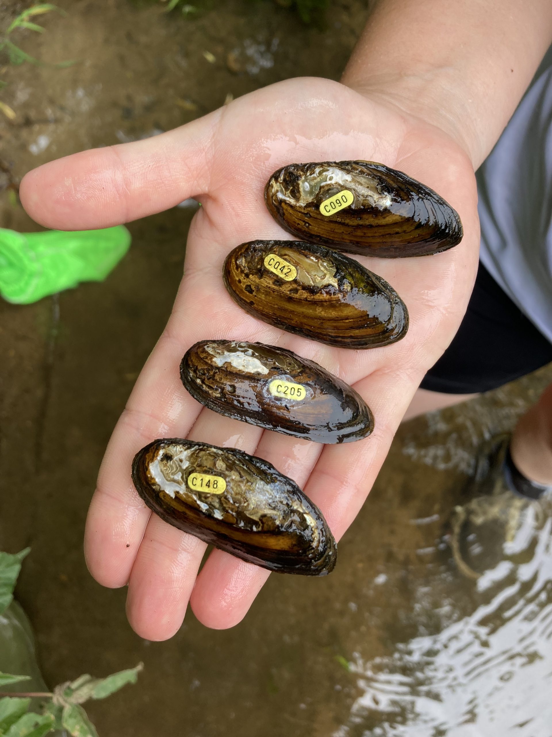 Field Work – John Beardsley